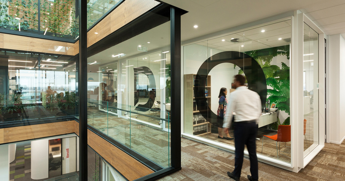 Natural Light & Private Office Design | BDO - STACK Interiors