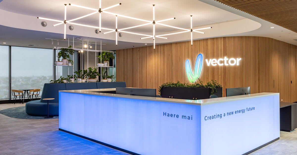 Vector moves into Carlton Gore Road - STACK Interiors