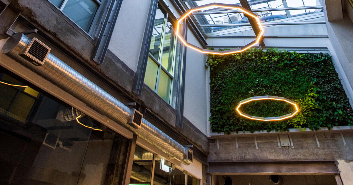 Vibrant Office Spaces | Kiwi Bacon Building - STACK Interiors